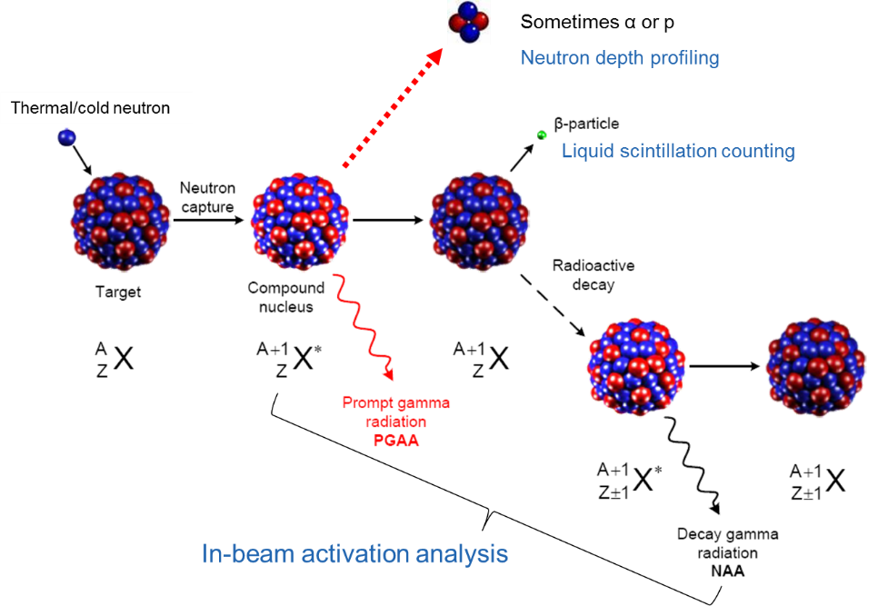 nucleus chemistry example
