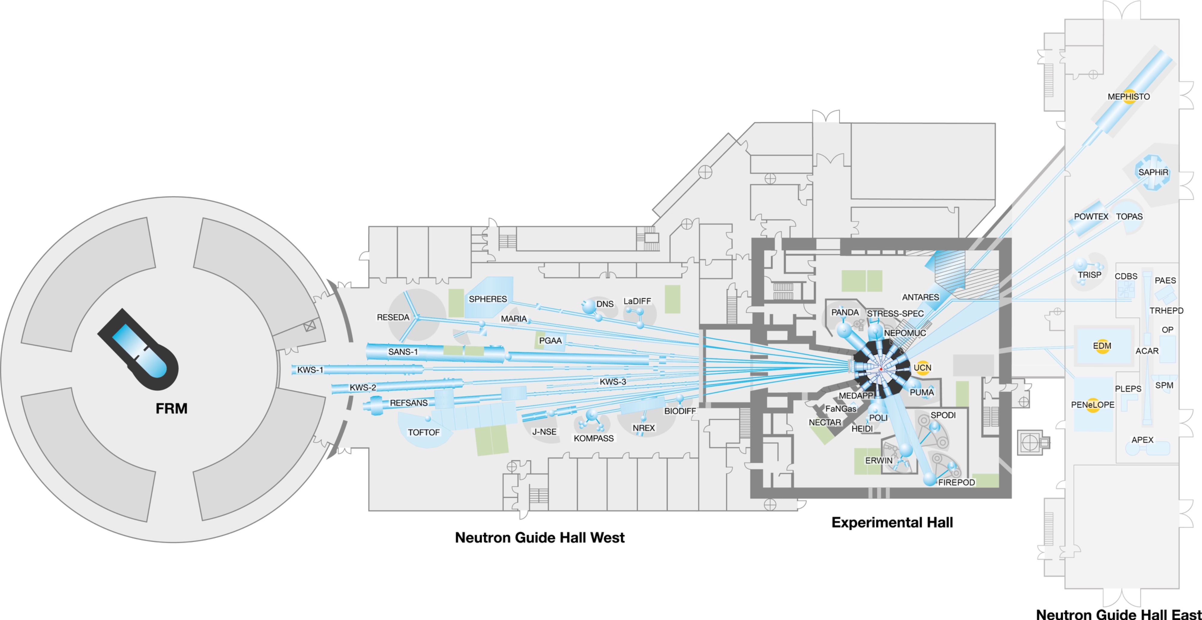 Particle physics / MLZ