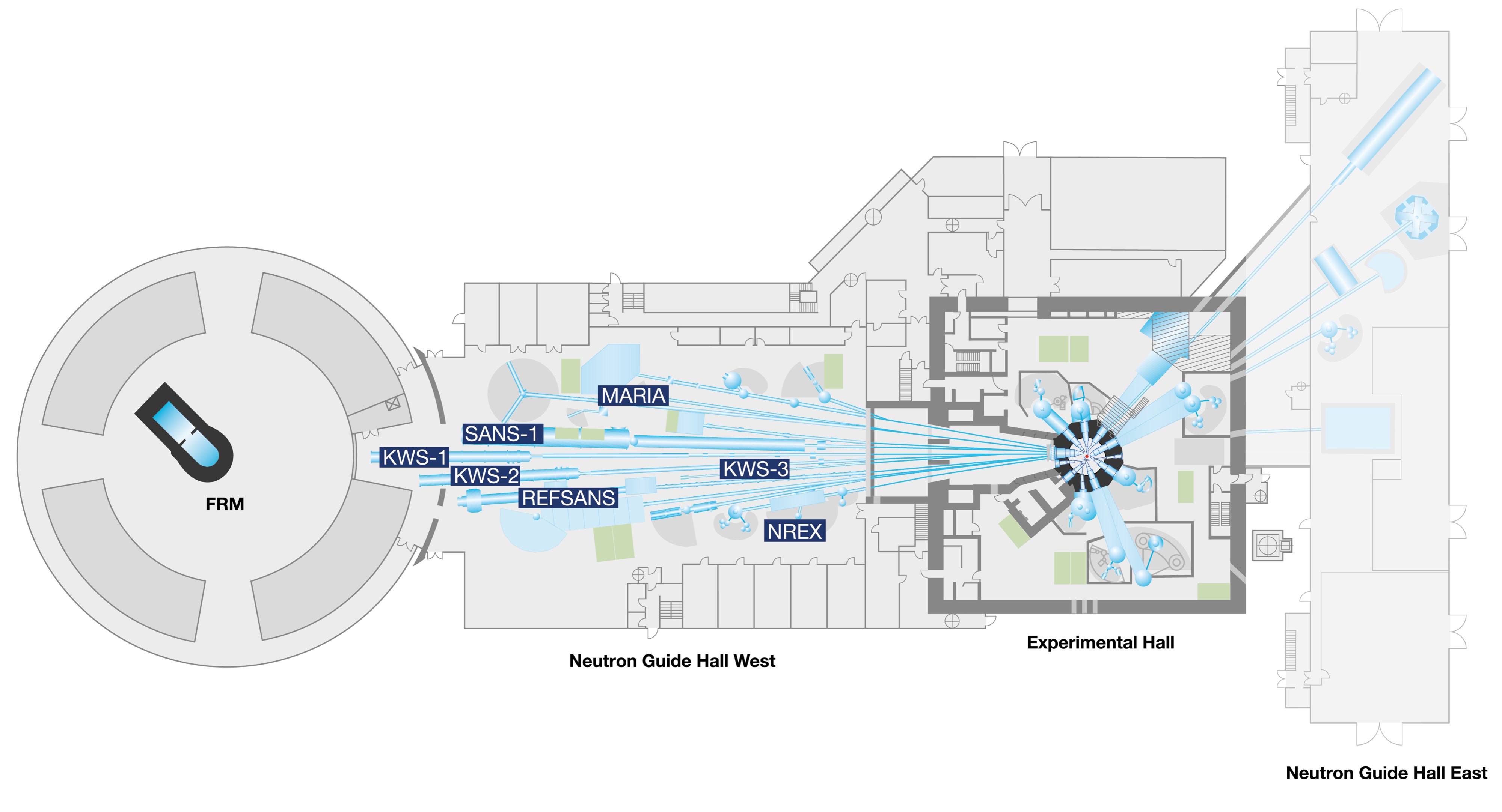 Large scale structures / MLZ