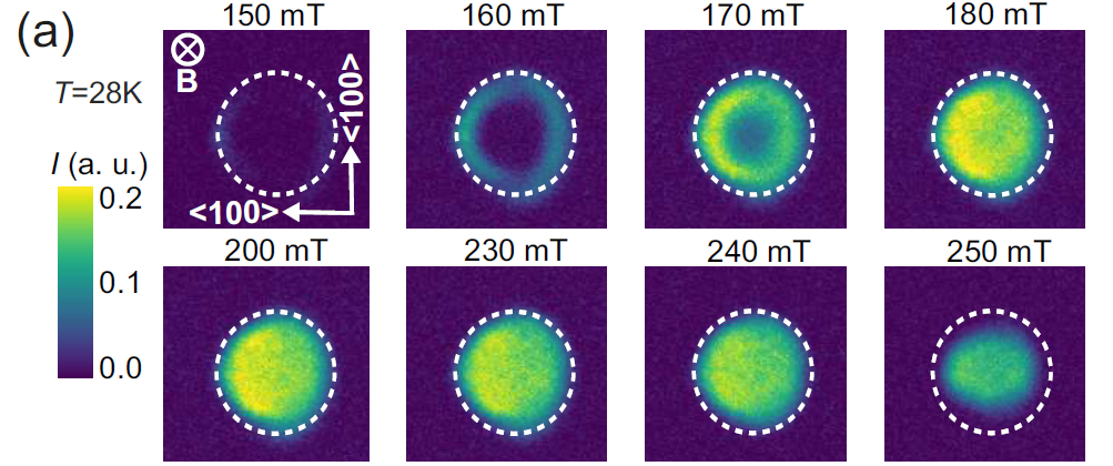Disenchanted Exotic: Neutrons show how skyrmions form / MLZ