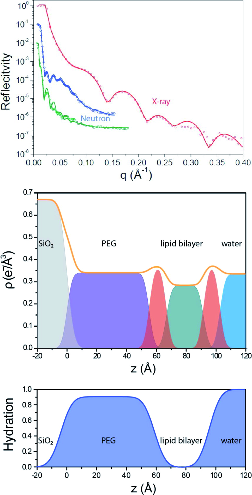 Polyethylene glycol polymer layers – studies from tethered lipid ...