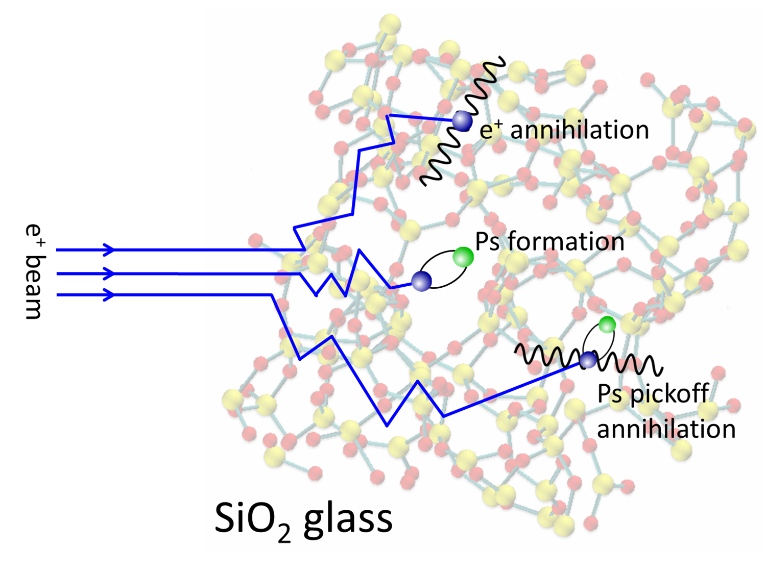 Mapping the structure of a glass through its voids / MLZ